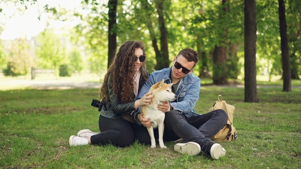 Attractive Girl and Her Boyfriend Loving Dog Owners Are Patting Their ...