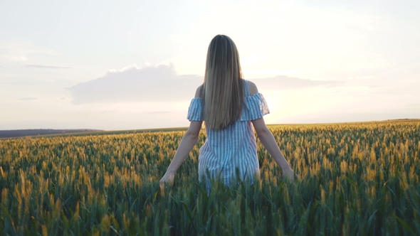 Back View of Young Happy Woman Goes on the Field, Stock Footage | VideoHive