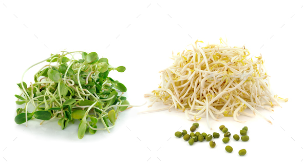Bean Sprouts isolated on white background Stock Photo by sommai | PhotoDune