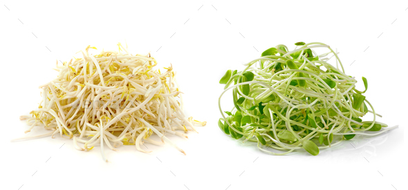 Bean Sprouts on White Background Stock Photo by sommai | PhotoDune