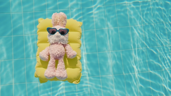 A Cool Rabbit in Sun Glasses Glows on an Inflatable Mattress. Floats in ...