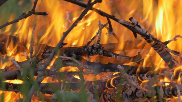 Orange Fire, Stock Footage | VideoHive