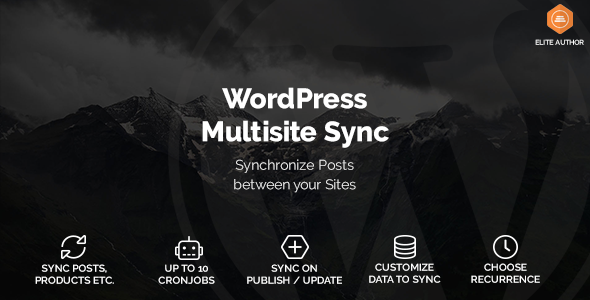 Wordpress Multisite Sync by welaunch | CodeCanyon