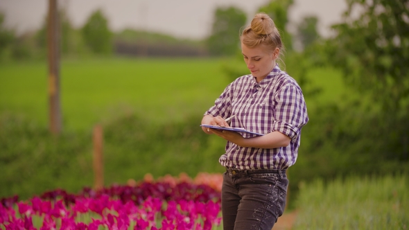 Female Researcher Walking While Examining Tulips At Field, Stock Footage