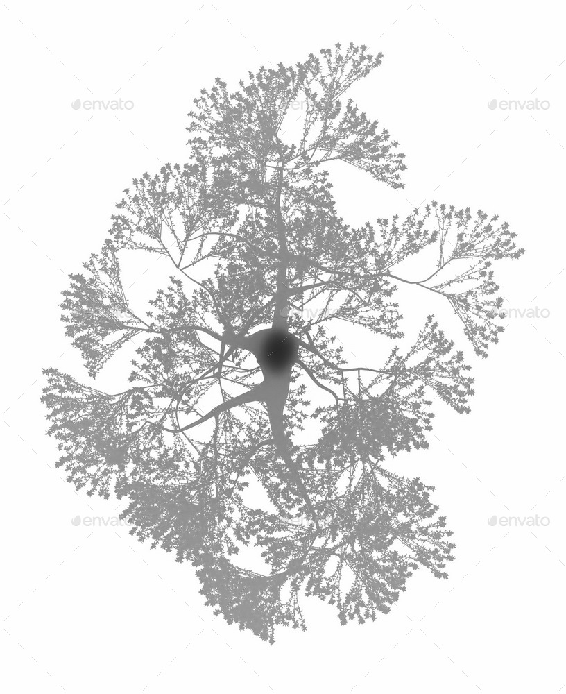 3D Shadow - Tree 39 by Tyrian_Purple | 3DOcean