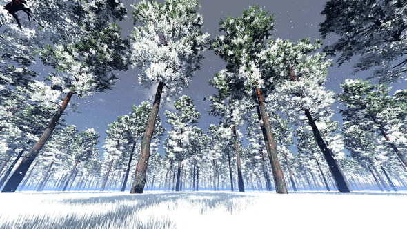 Falling Snow in the Forest, Motion Graphics | VideoHive