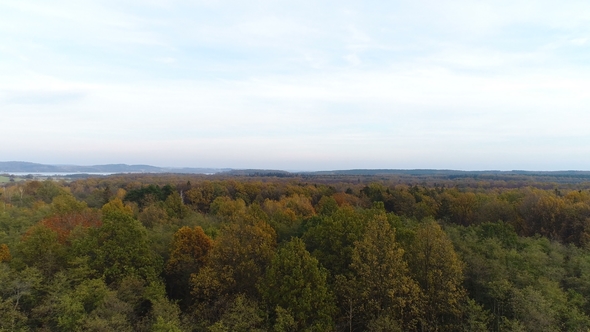 Flying Over Forest. Forest From Above, Stock Footage | VideoHive