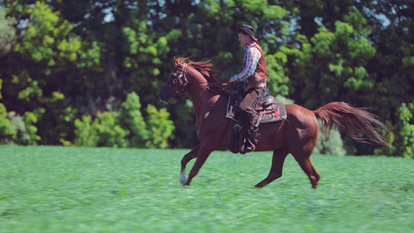 Cowboy Rider Riding a Horse By Gallop on the Field, Stock Footage ...