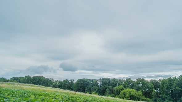 Rain Clouds at Green Field, Stock Footage | VideoHive