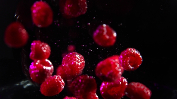 Raspberries Falling Into a Water, Stock Footage | VideoHive