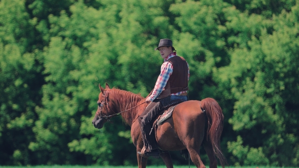 Cowboy Rider on the Horse Goes Into the Distance, Then Stops and Looks ...