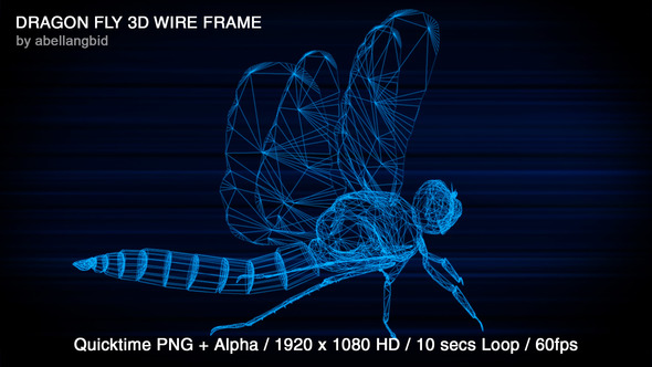 Dragonfly 3D Wire Frame, Motion Graphics | VideoHive