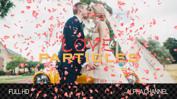 Love, Motion Graphics | VideoHive