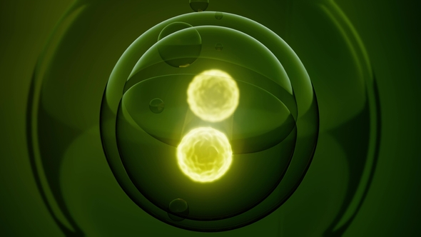 Rotate Cell Division, Motion Graphics | VideoHive