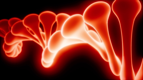 DNA Model Rotate, Motion Graphics | VideoHive