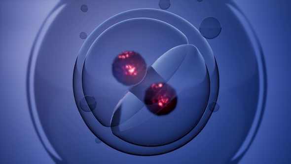 Rotate Cell Division, Motion Graphics | VideoHive