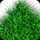 Grass Effect Generator Action, Add-ons | GraphicRiver