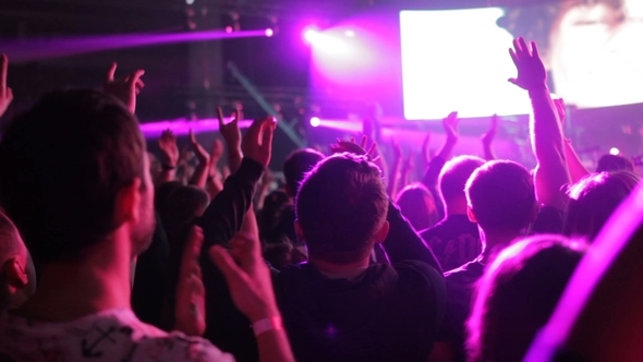 Fans Wave Their Hands To the Beat of the Music at the Concert, Stock ...