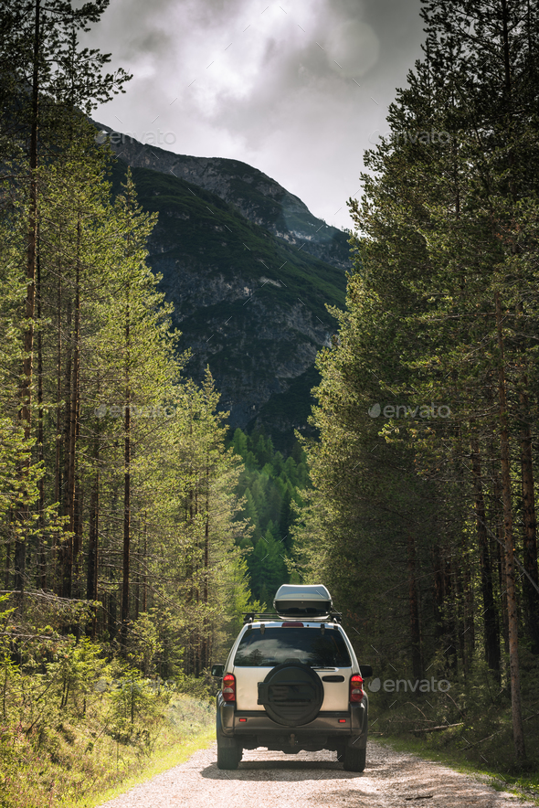 Off road car on dirt road in forest Stock Photo by merc67 | PhotoDune