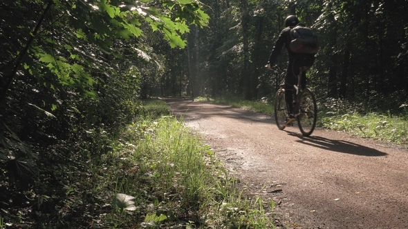 A Male Athlete Is Riding a Bicycle Through the Sun in a Park, Stock Footage