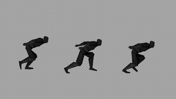 Ninja Run, Motion Graphics | VideoHive
