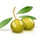 Two Green Olives with Leaves, Vectors | GraphicRiver