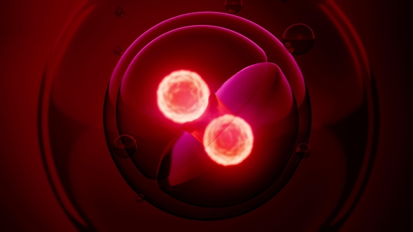 Rotate Cell Division, Motion Graphics | VideoHive