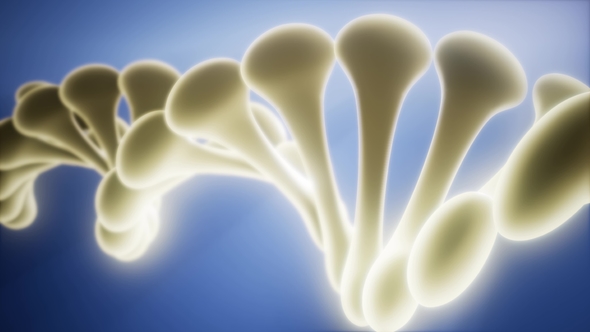 DNA Model Rotate, Motion Graphics | VideoHive