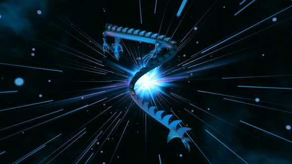 Flying Chinese Dragon VJ Loop, Motion Graphics | VideoHive
