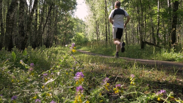 The Athlete Runs Through the Forest on a Beautiful Sunny Day, Stock Footage