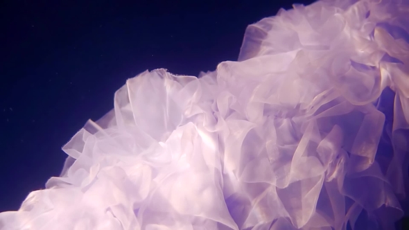 Amazing Magic View of Silk and Chiffon Fabric Is Floating Under Water ...