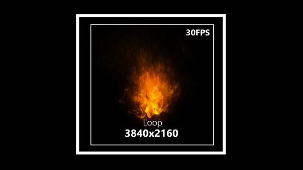 Particle Loop, Motion Graphics | VideoHive