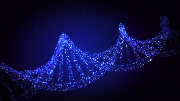 DNA, Motion Graphics | VideoHive