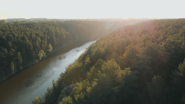 Summer Forest Trees Woods at Sunset Sun Shining Through Trees Nature ...