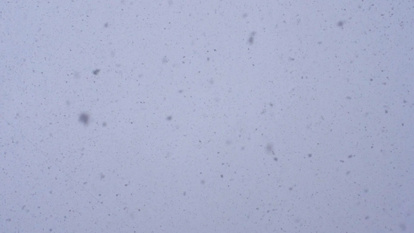 Super Snowflakes On Sky Background In Heavy Snowfall In Winter, Stock ...