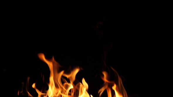 Burning Red Fire Burns at Night, Stock Footage | VideoHive