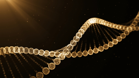 Golden DNA, Motion Graphics | VideoHive