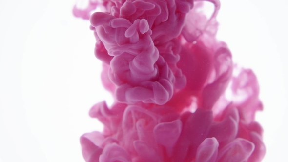 Pink Ink Dropped in Water on White Background, Stock Footage | VideoHive