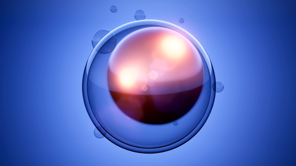 Rotate Cell Division, Motion Graphics | VideoHive