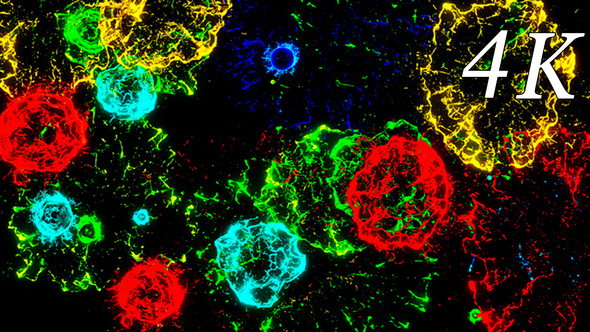 Splash Color 4k 01, Motion Graphics | VideoHive