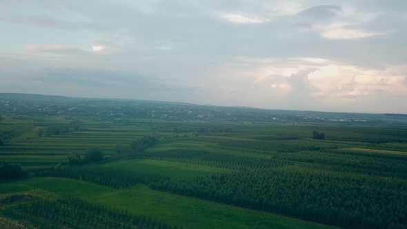 Field with a Bird's-eye View, Stock Footage | VideoHive