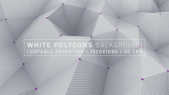 White Polygons Background, Motion Graphics | VideoHive