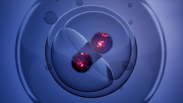 Rotate Cell Division, Motion Graphics | VideoHive