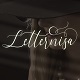 Letternisa - Beautiful Script, Fonts | GraphicRiver