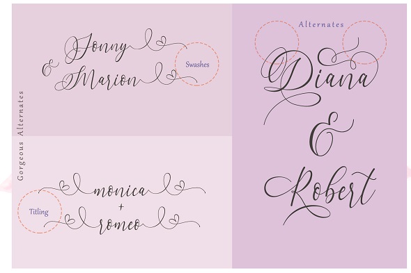Letternisa - Beautiful Script, Fonts | GraphicRiver
