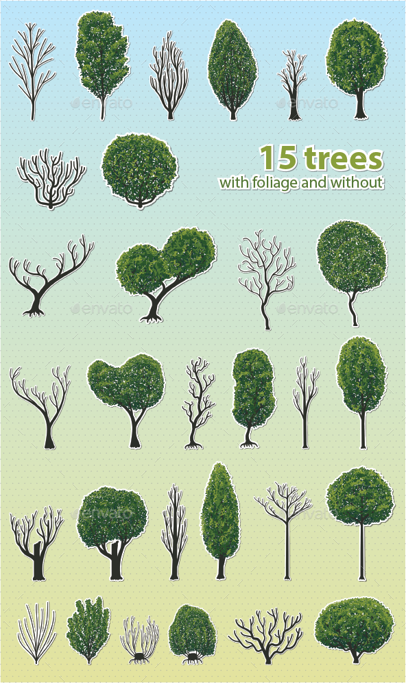Tree Collection, Vectors | GraphicRiver