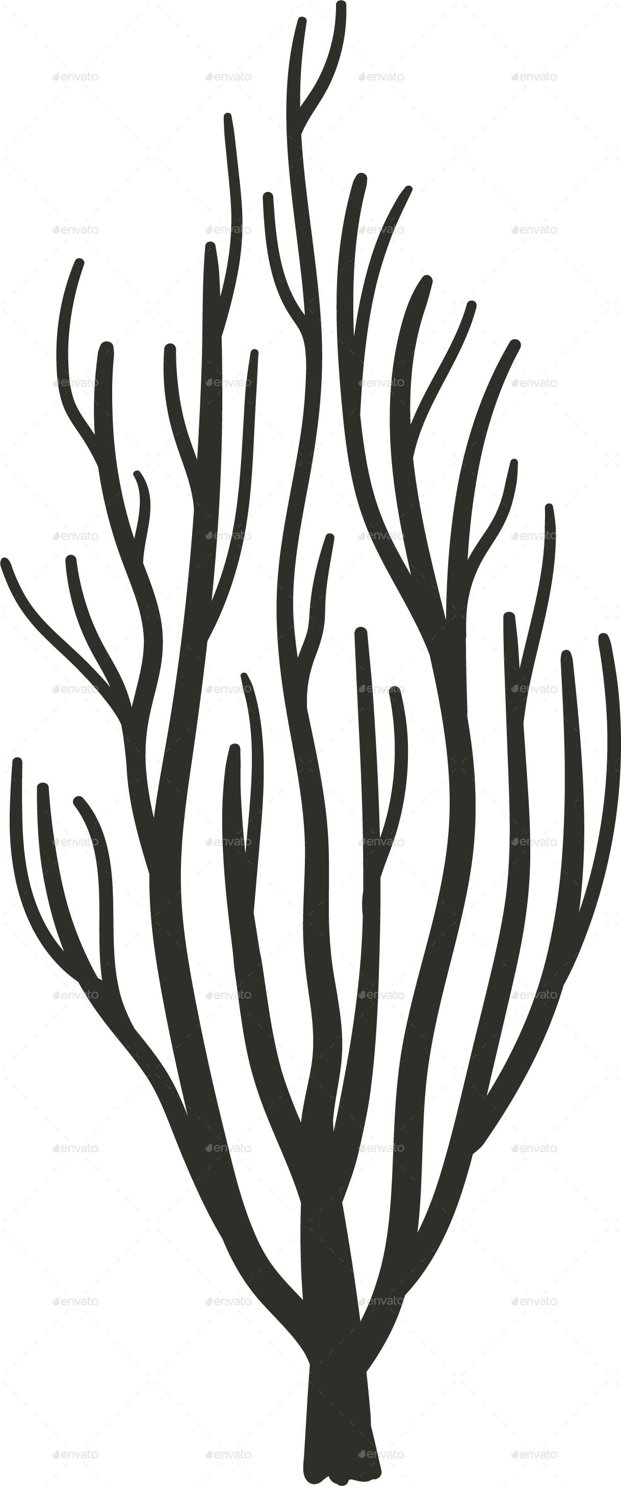 Tree Collection, Vectors | GraphicRiver