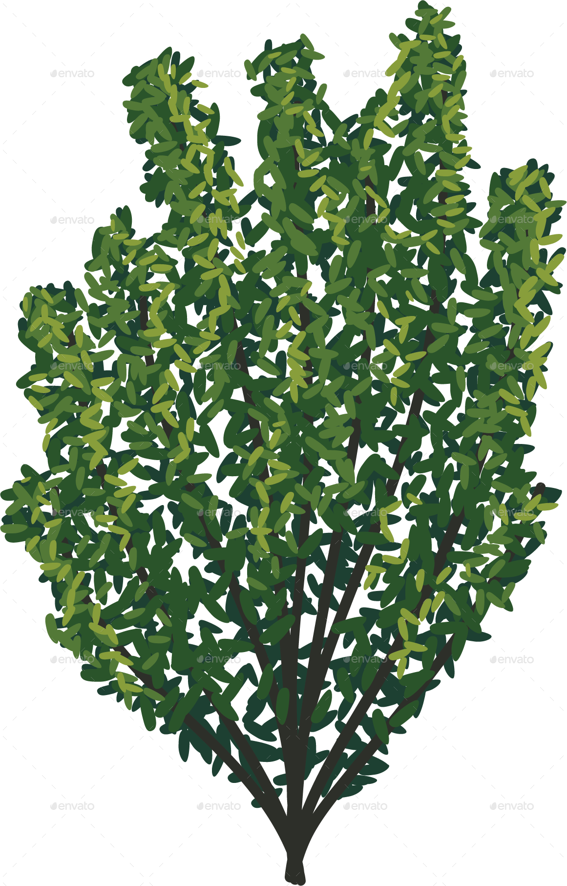 Tree Collection, Vectors | GraphicRiver