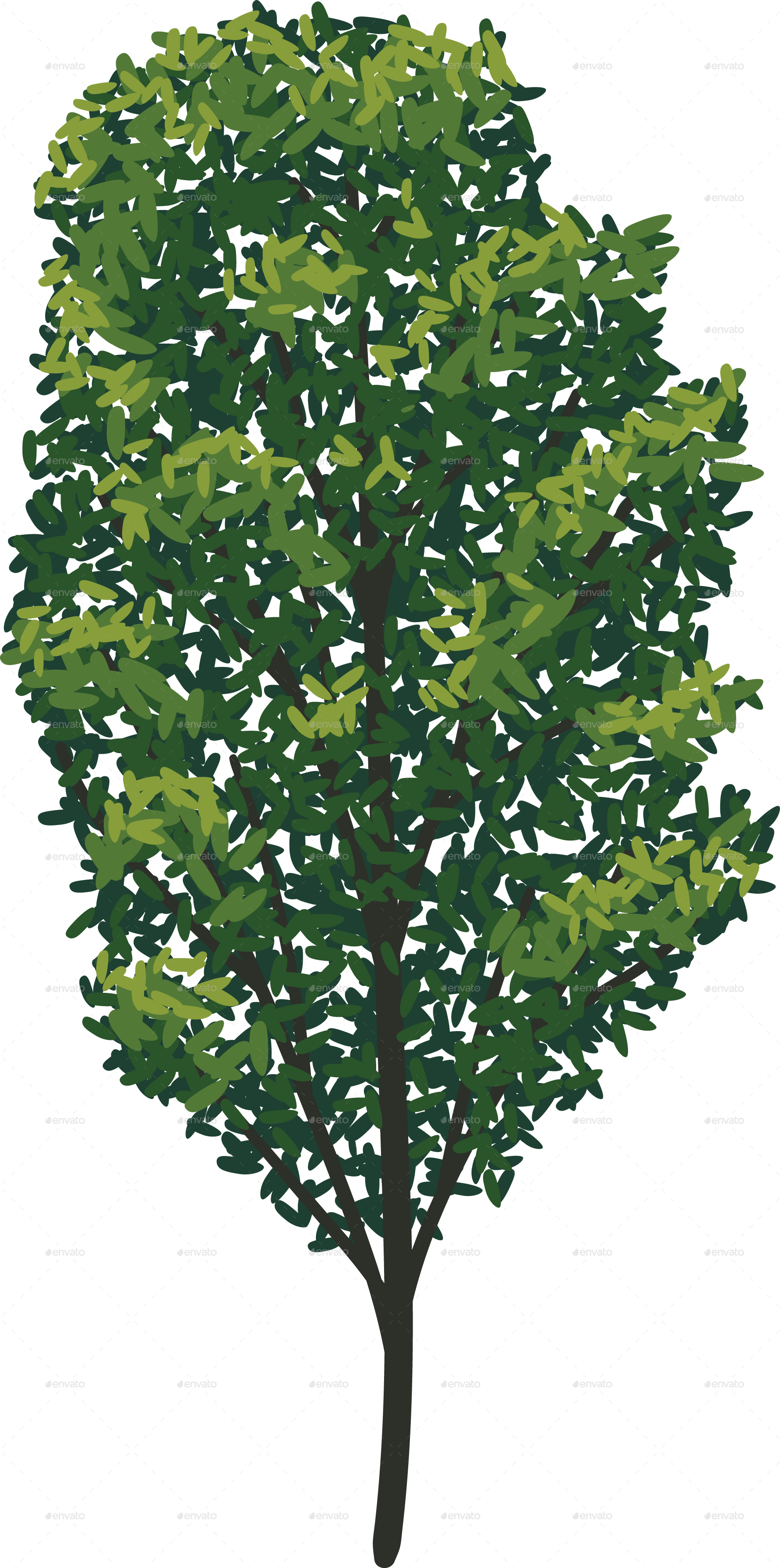 Tree Collection, Vectors | GraphicRiver