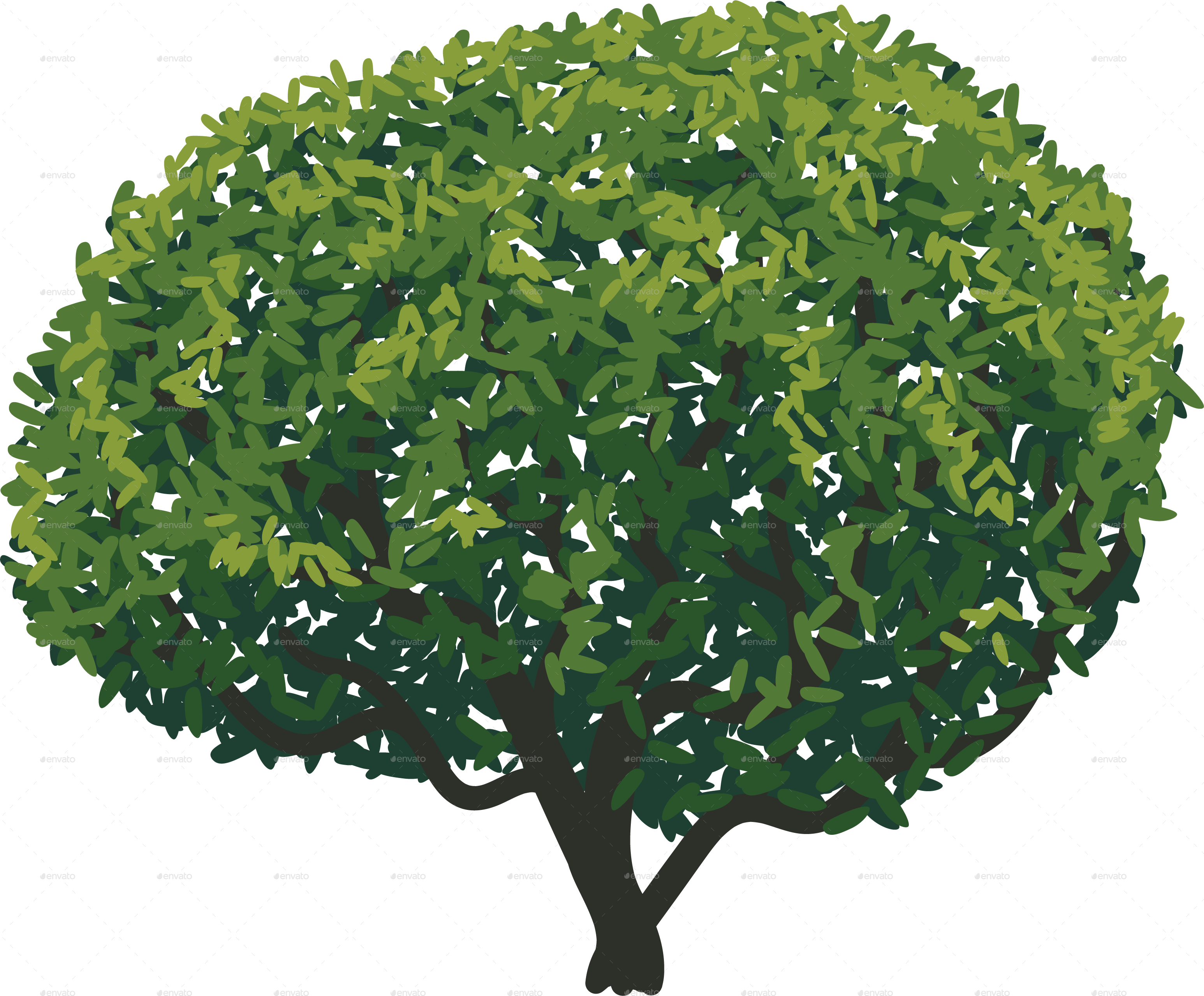 Tree Collection, Vectors | GraphicRiver